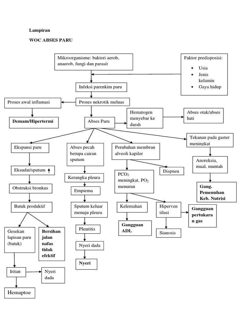 WOC Abses Paru | PDF