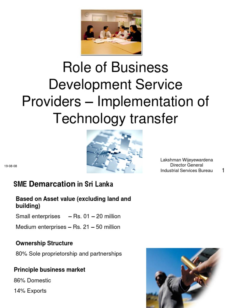 21 - Role of Business Development Service Providers | PDF | Small And ...