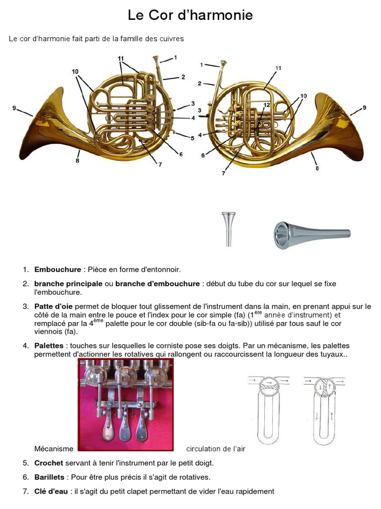 Le Cor d'Harmonie | Cor d'harmonie | Instruments de musique