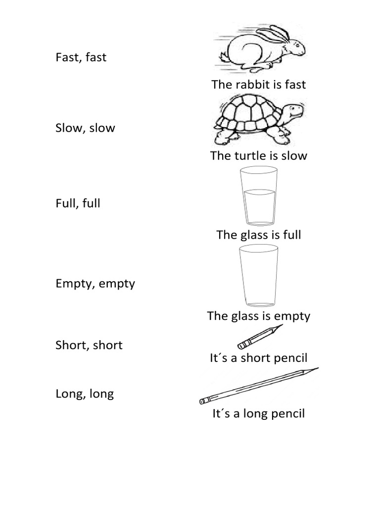 Learning Opposites: Fast and Slow | PDF