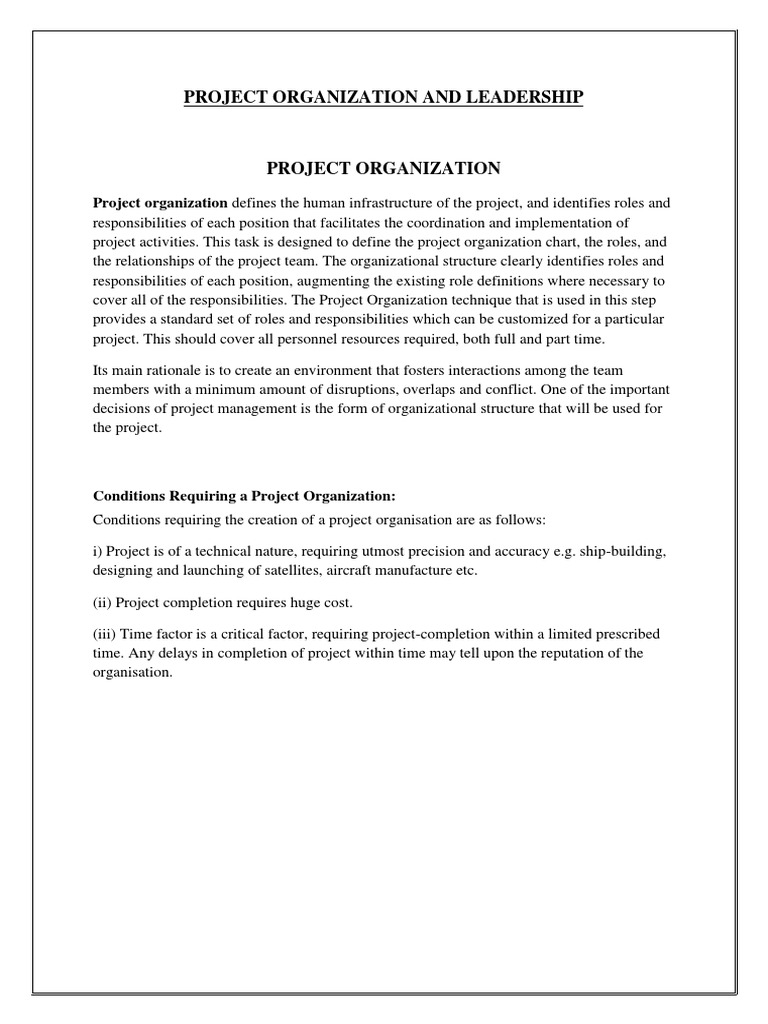 Project Organization and Responsibilities | PDF