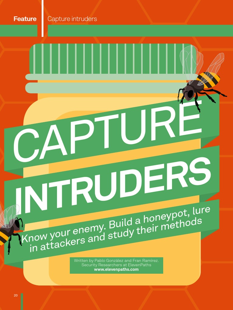 Capture Intruders | PDF | Computer File | World Wide Web