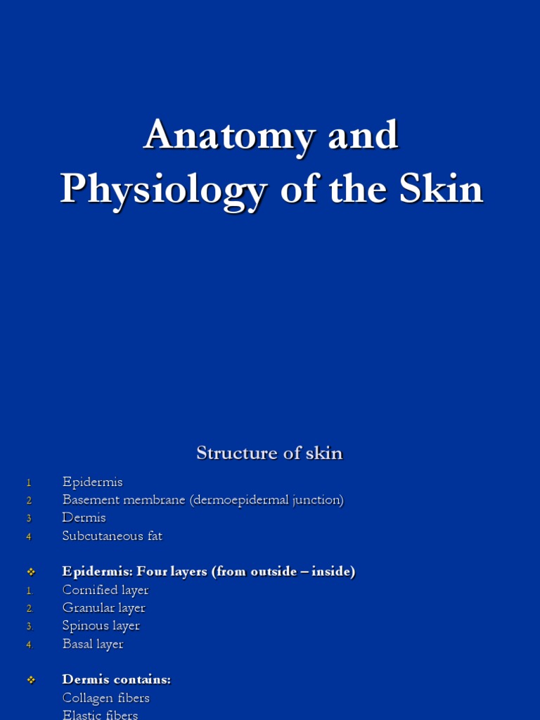 Dermatology: Skin Structure & Function | PDF | Skin | Epidermis