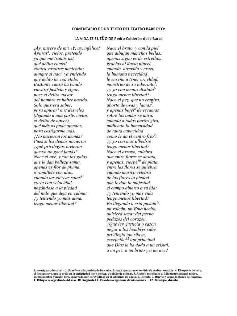 Comentario de Un Texto Barroco | Poesía | Ciencia filosófica