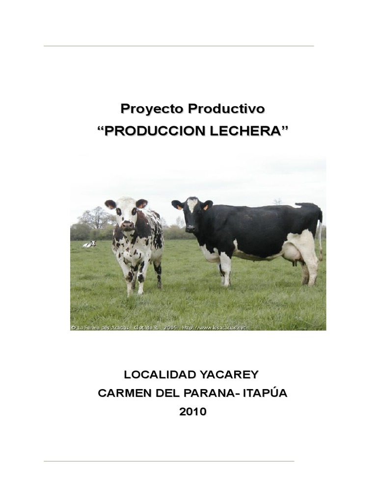 Proyecto Lechero en Yacarey | PDF | Área rural | Agricultura