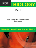 Fish Anatomy and Physiology Notes | PDF