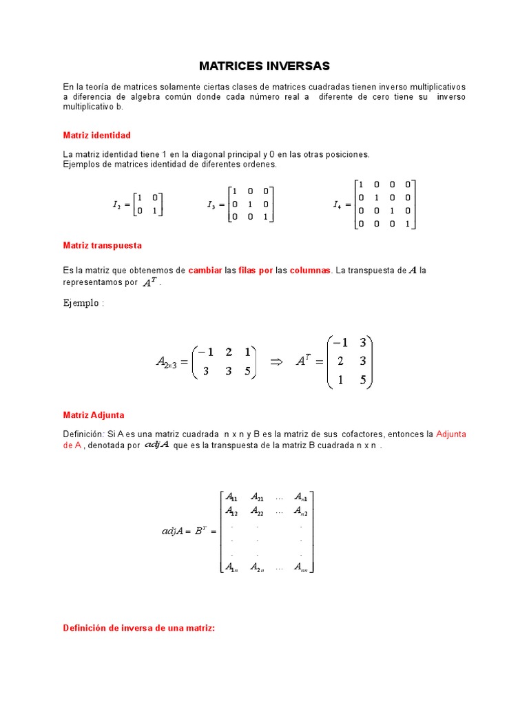 Ejercicios Resueltos Matriz Inversa | PDF | Matriz (Matemáticas) | Álgebra