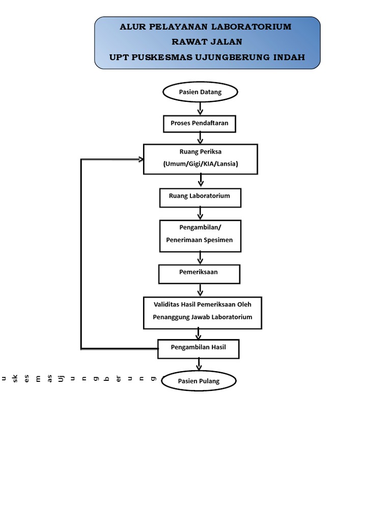 Alur Pelayanan Laboratorium | PDF