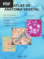 Atlas Anatomia Vegetal | PDF | Tallo de la planta | Biología Celular)