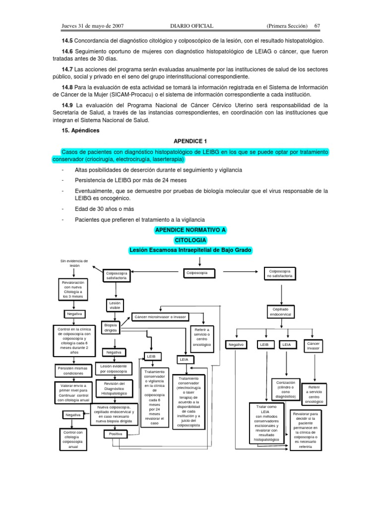 014 Cacu Algoritmos | PDF | Biopsia | Diagnostico medico