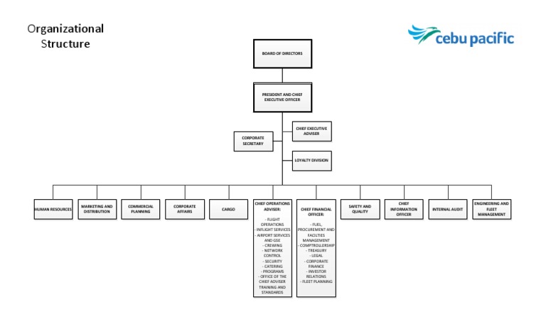Org Chart for CEB Website.pdf | Economies | Aviation