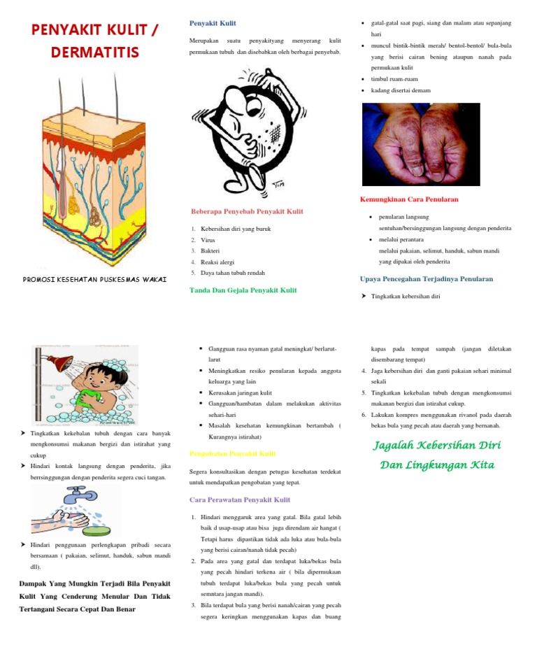 Leaflet Dermatitis | PDF