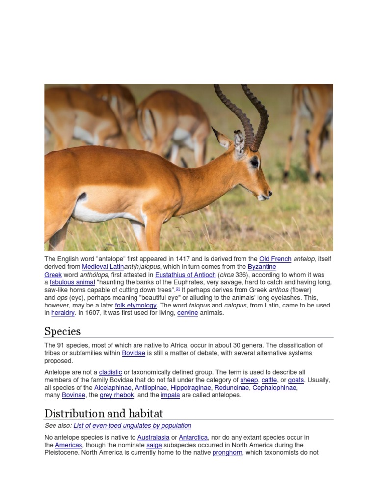 Antelope | PDF | Antelope | Mammals