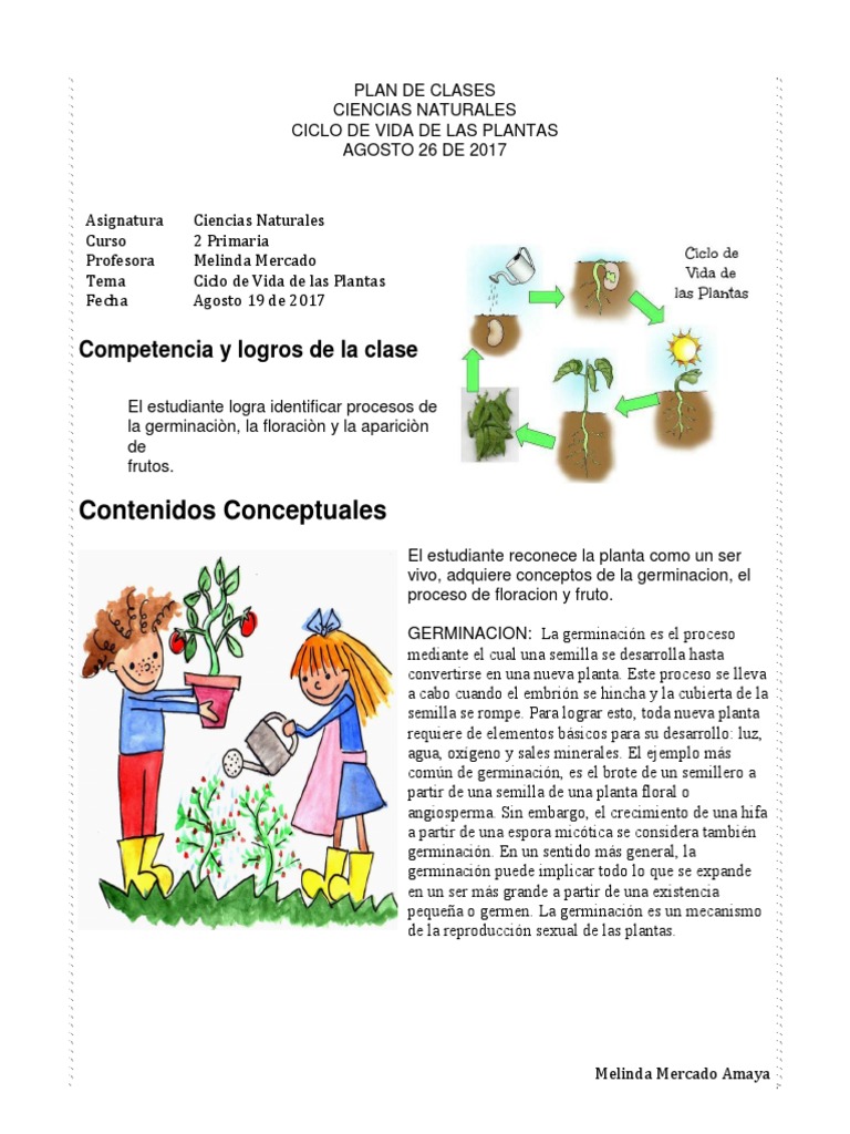 Ciclo de Vida Plantas | PDF | Germinación | Fruta