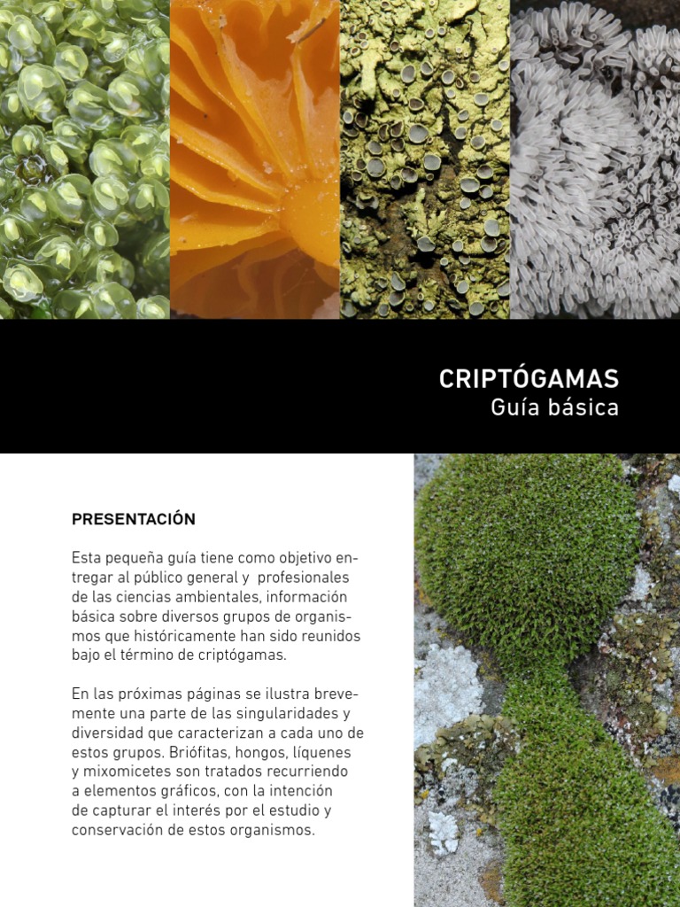 Criptogamas - Guia Basica PDF | PDF | Musgo | Hongo