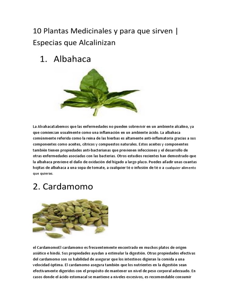 10 Plantas Medicinales y para Que Sirven | PDF | Digestión | Alimentos