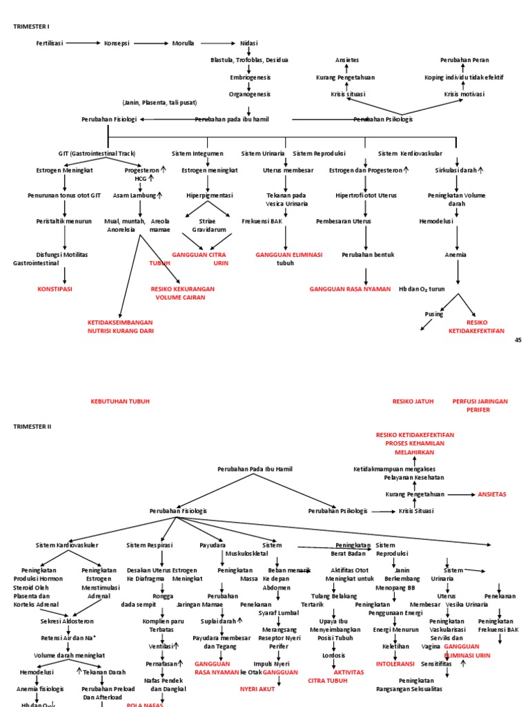 WOC - Dan AskepTrimester-Kehamilan SAH | PDF