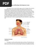Anatomy and Physiology of Lungs | PDF | Lung | Respiratory Tract