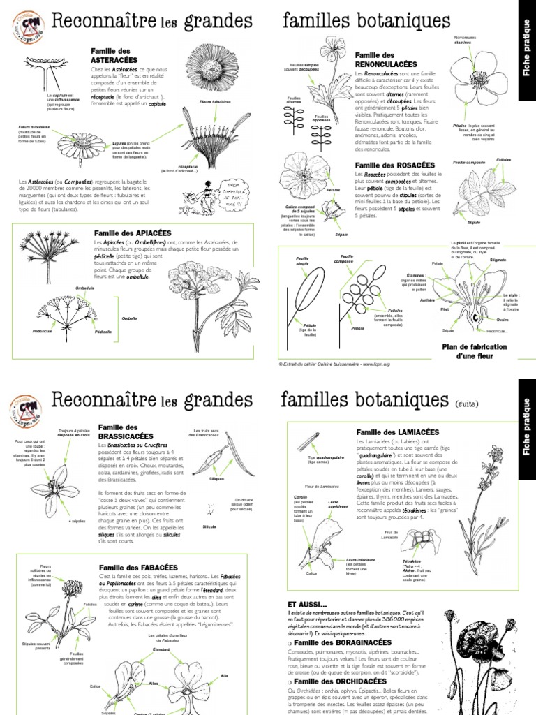Familles botaniques principales.pdf