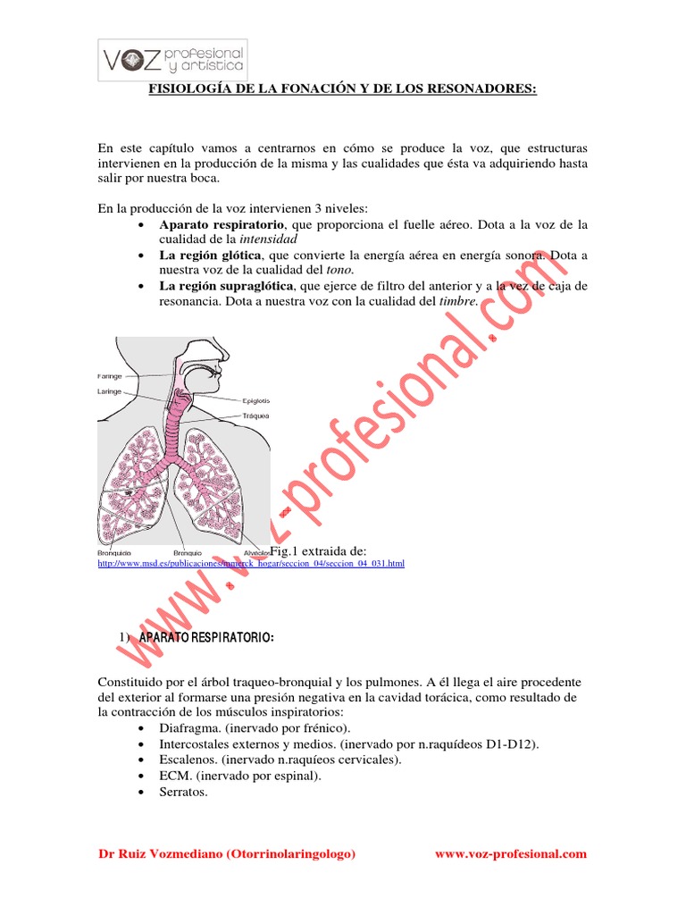 Fisiologia-de-la-fonacion-y-de-los-resonadores.pdf