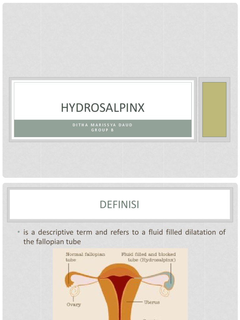 Understanding Hydrosalpinx and Haematosalpinx | PDF