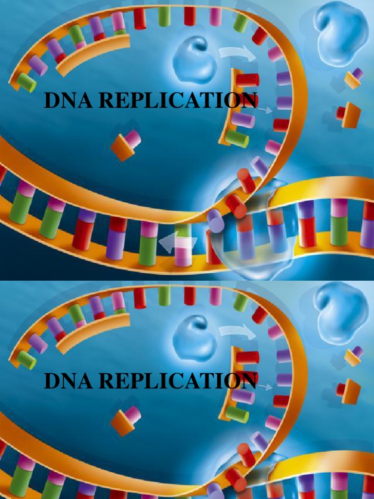 Dna Replication Pdf Dna Replication Primer Molecular Biology