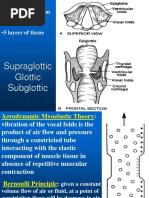 Estill Voice Model Overview | PDF | Singing | Larynx