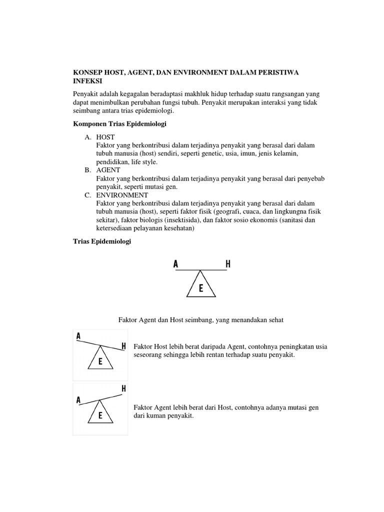 Sasbel IKM - Host, Agent, Environment | PDF