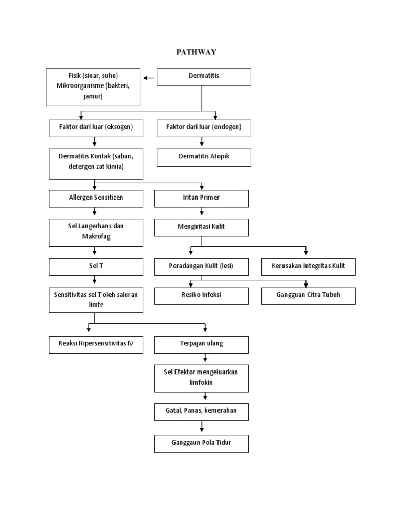 PATHWAY Dermatitis | PDF