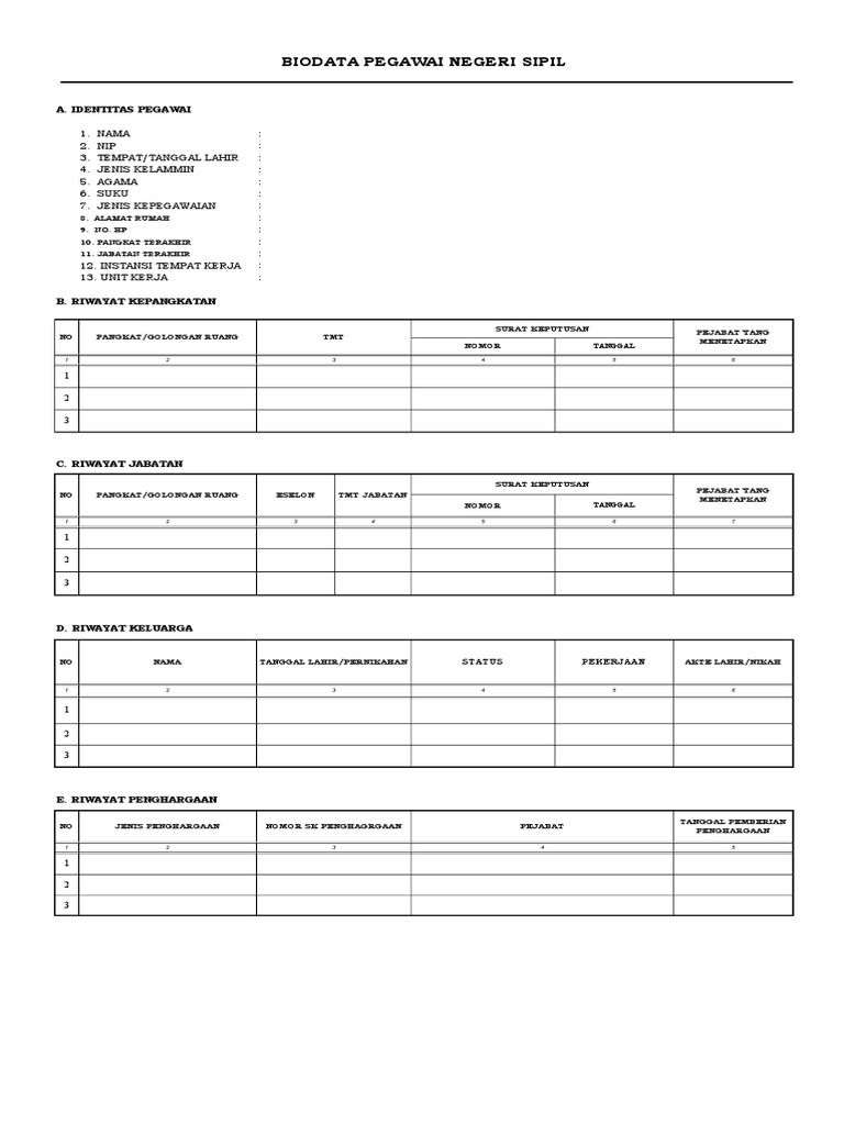 Formulir Biodata | PDF