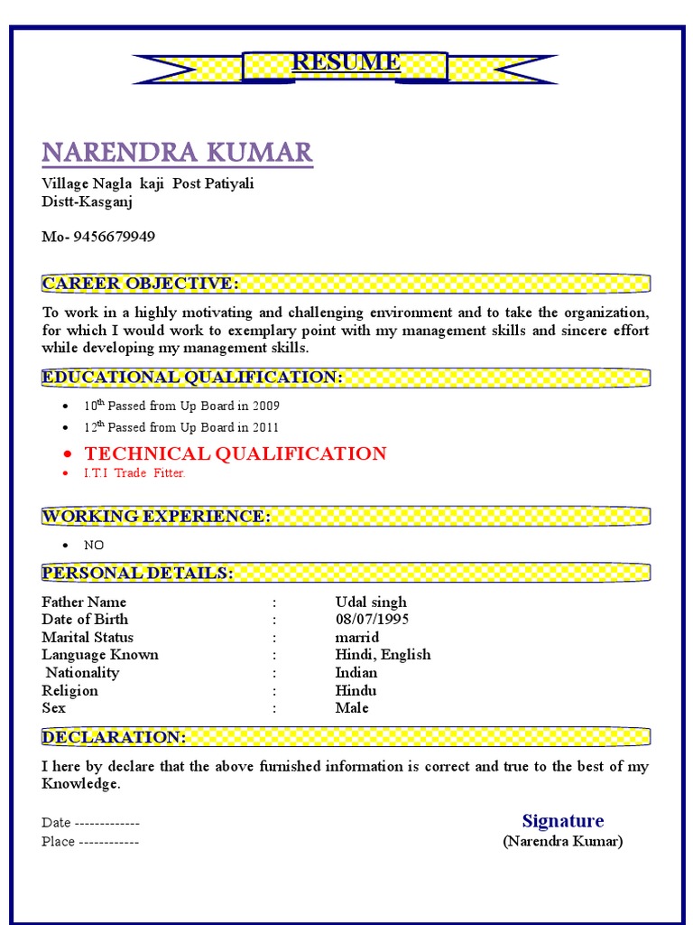 Technical Qualification Resume in Hindi | PDF