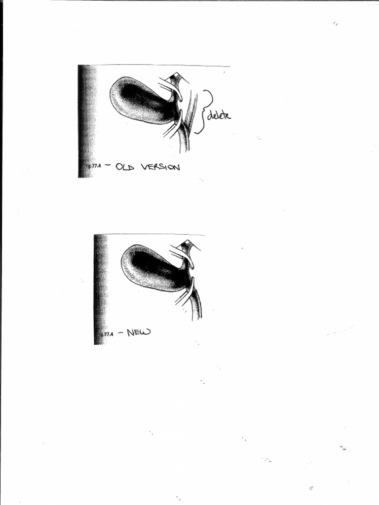Figure Redraw PDF | PDF