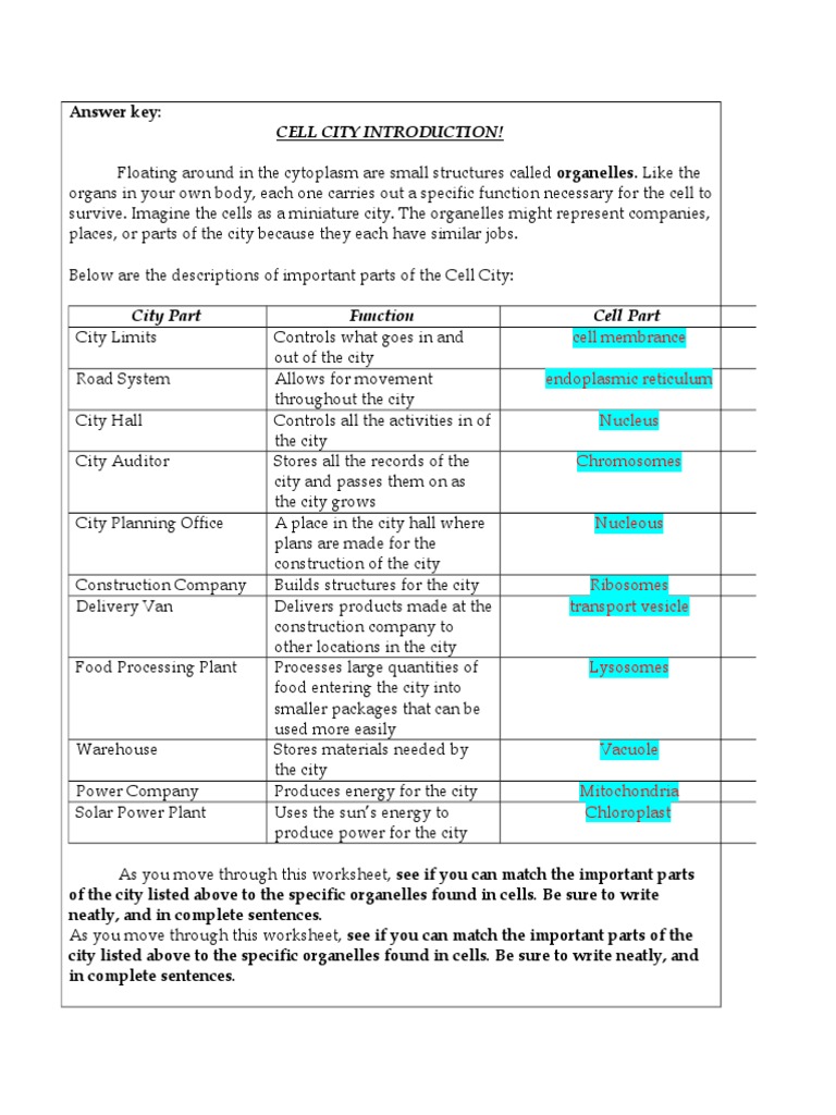 Animal Cell City Analogy