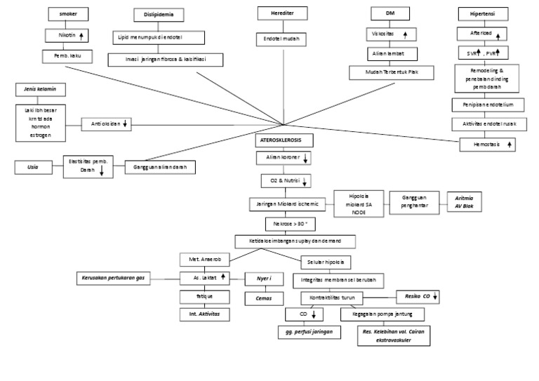 Pathflow Kasus CAD Post CABG | PDF