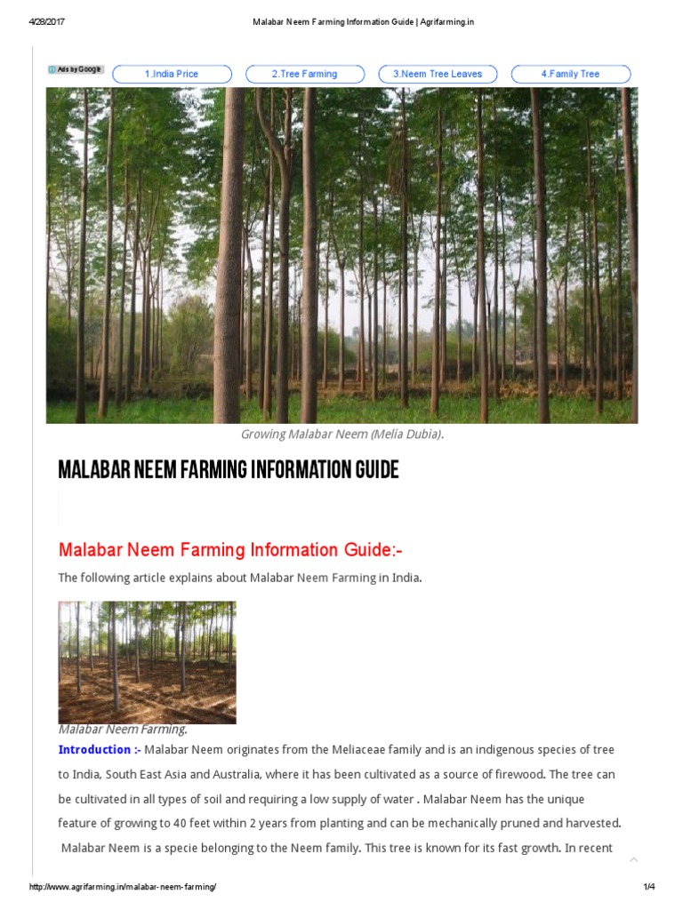 Malabar Neem Farming Guide | PDF | Seed | Plant Nursery