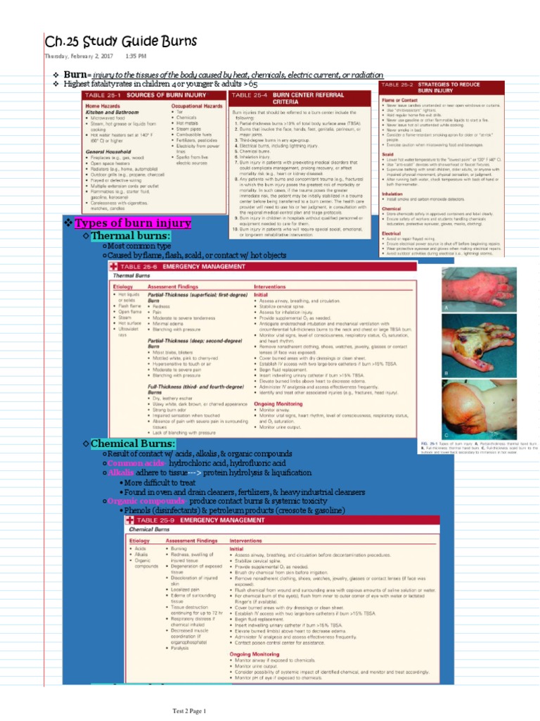 Nurse's Study guide to Burns | Burn | Wound Healing | Free 30-day Trial ...