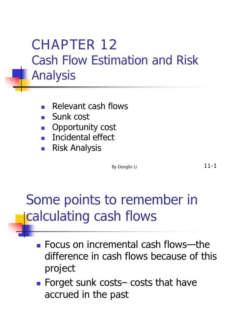 Cash Flow Estimation and Risk Analysis: Key Considerations for ...
