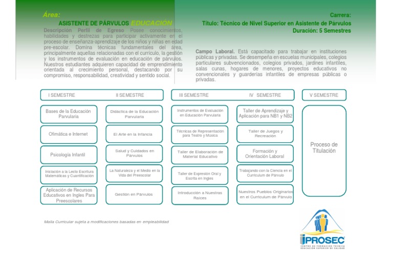 Asistente de Parvulo | PDF | Jardín de infancia | Conceptos psicologicos