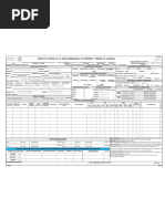 Carnet Perinatal Completo | PDF | El embarazo | Parto