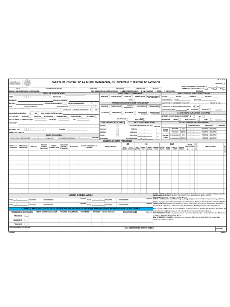 Tarjeta de Control Prenatal Embarazo | PDF