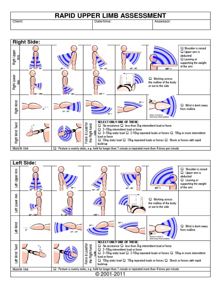 Rula Sheet | PDF | Anatomical Terms Of Motion | Arm