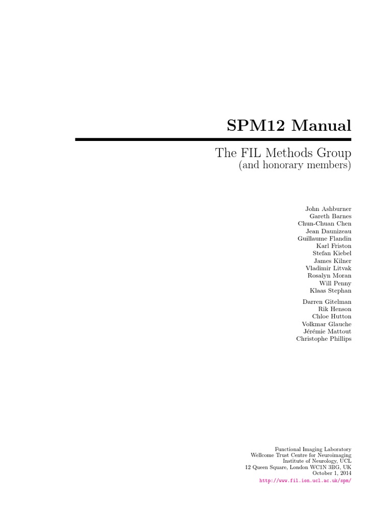 SPM12 Manual | PDF | Rendering (Computer Graphics) | Electroencephalography