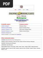 Makopa Fruit: Benefits and Uses | PDF | Plants | Nature