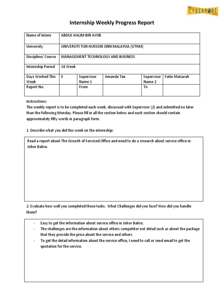 Form Intern Weekly Progress Report | PDF