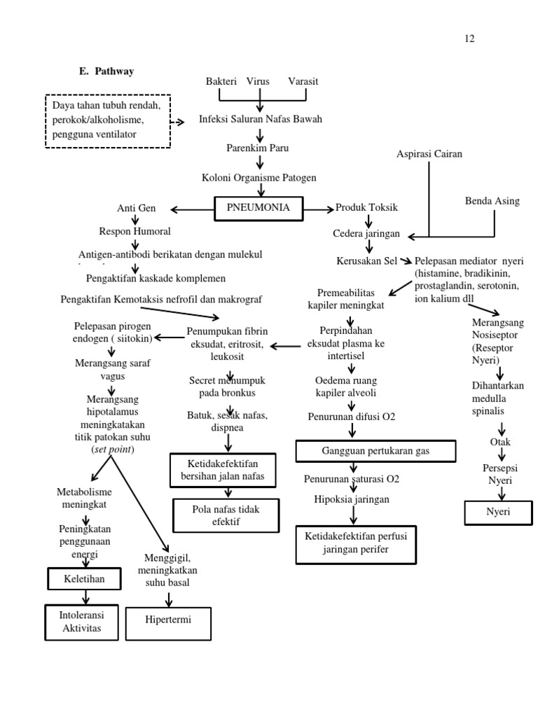 Pathway Pneumonia | PDF