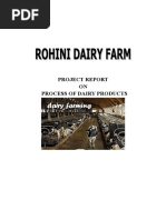 Model Dairy Project For 200 Animals | PDF | Dairy Cattle | Cattle