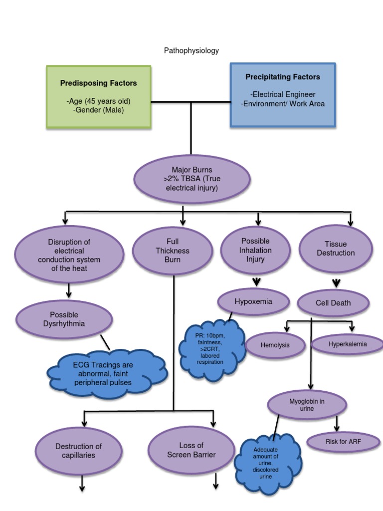Pathophysiology of Electrical Burns | PDF | Edema | Blood Vessel