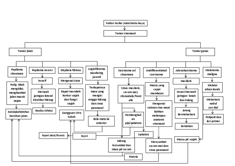 Pathway Tumor Nasal | PDF