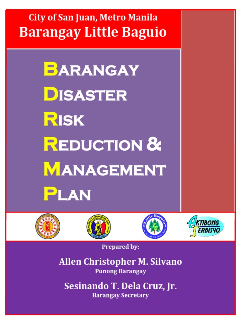 113583345-Barangay-Disaster-Risk-Reduction-Management-Plan (1).pdf ...