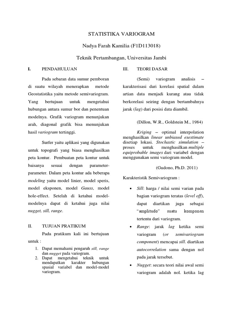 Statistka Variogram | PDF